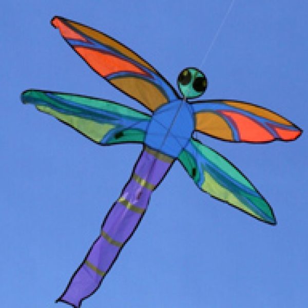 Single Line Kites Archives - Hi Fly Kites | Kite wholesaler
