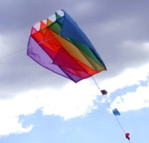 Parafoil Single Line Kite - Hi Fly Kites | Kite wholesaler